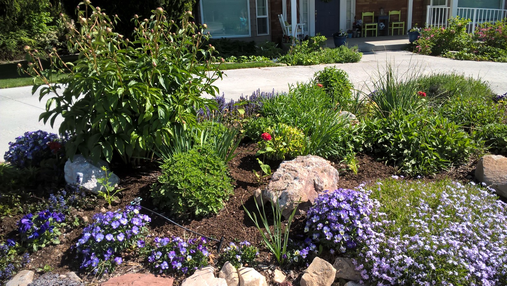 Creating A Perennial Flower Garden That Looks Beautiful All Year The